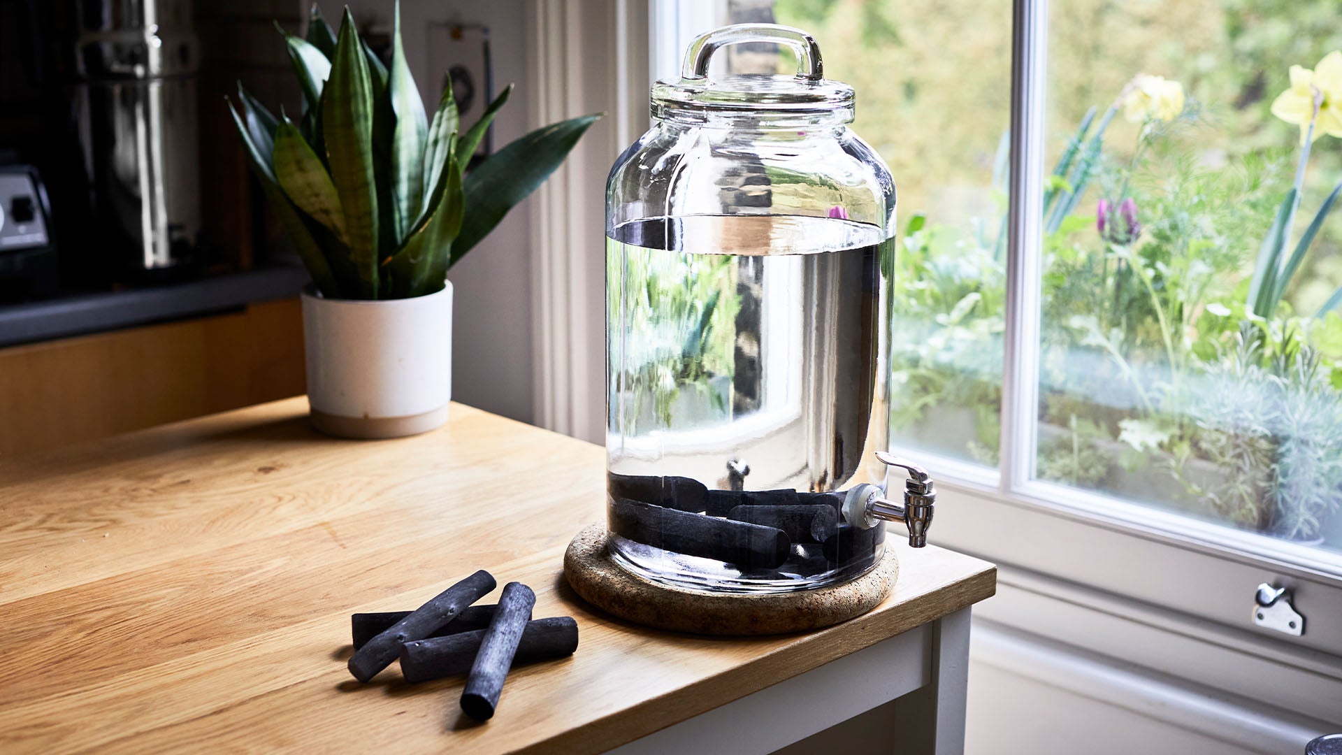 Black+Blum | Binchotan Charcoal 2-Pack, Water Bottle Charcoal | Natural ...